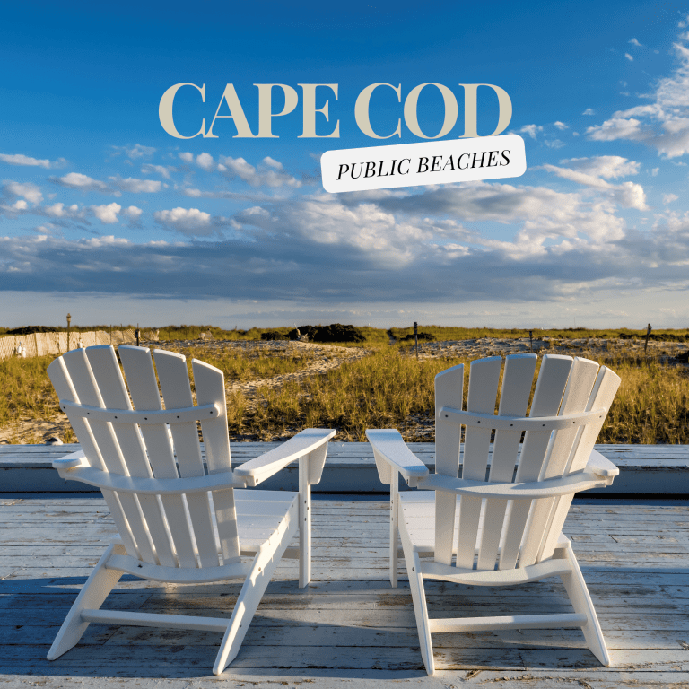 Top Cape Cod Public Beaches: Must-Visit Spots for Relaxation and Fun